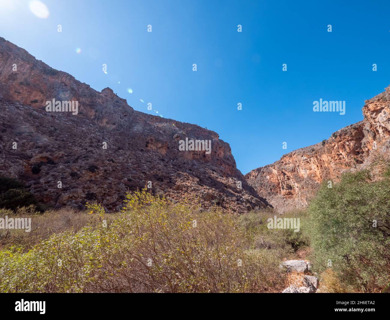 Wadi, Dry Gorge with some plants and trees Stock Photo - Alamy