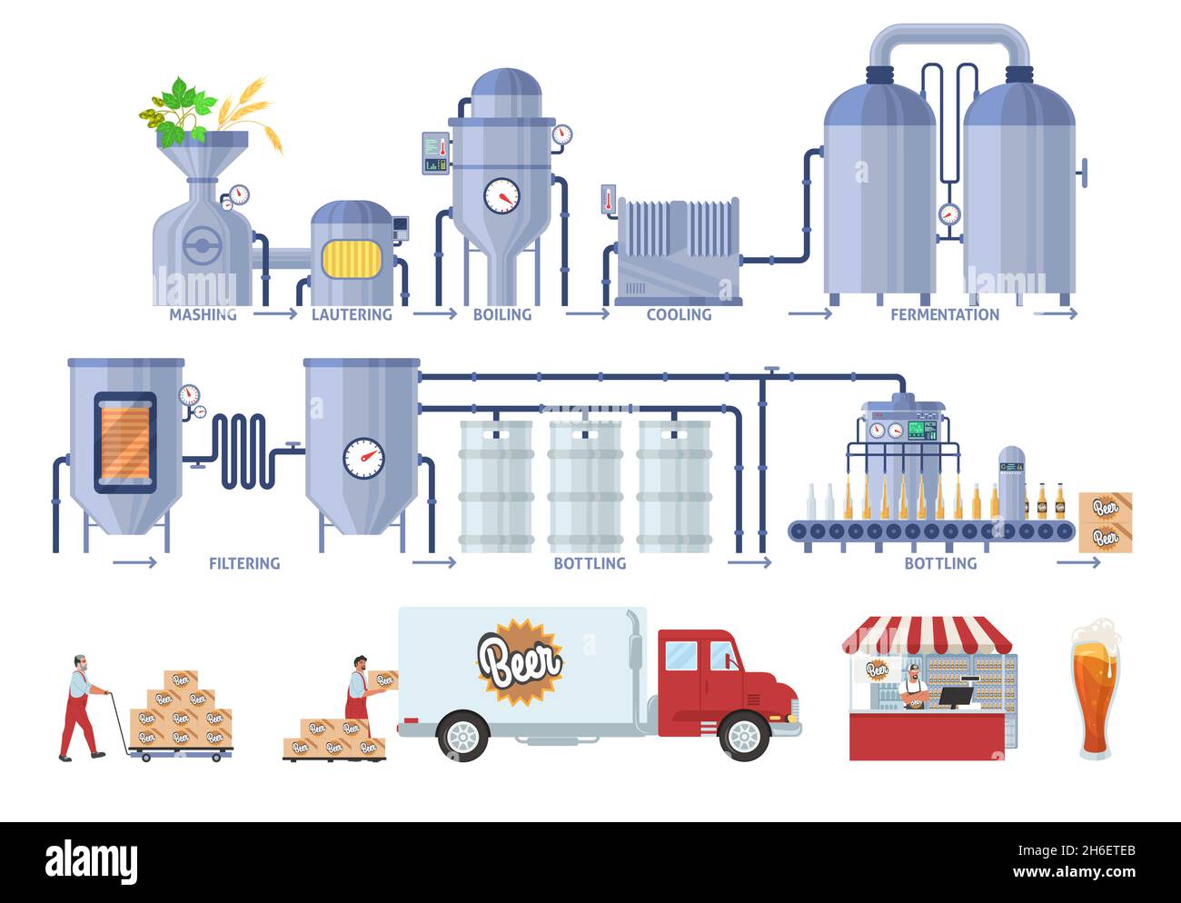 Beer production process vector infographic. Brewery beer production ...