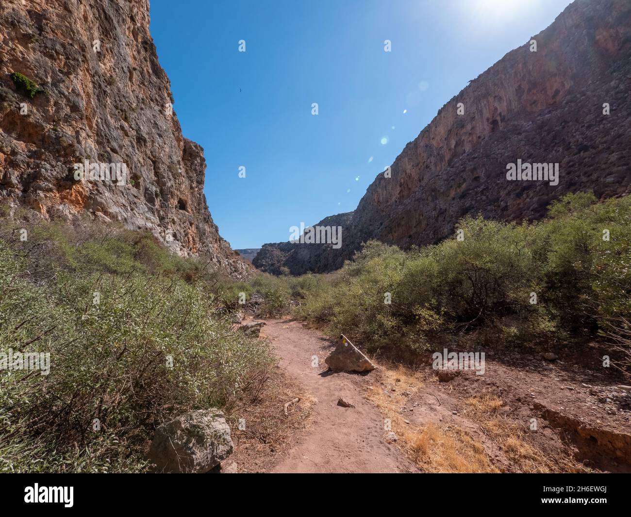 Wadi, Dry Gorge with some plants and trees Stock Photo - Alamy