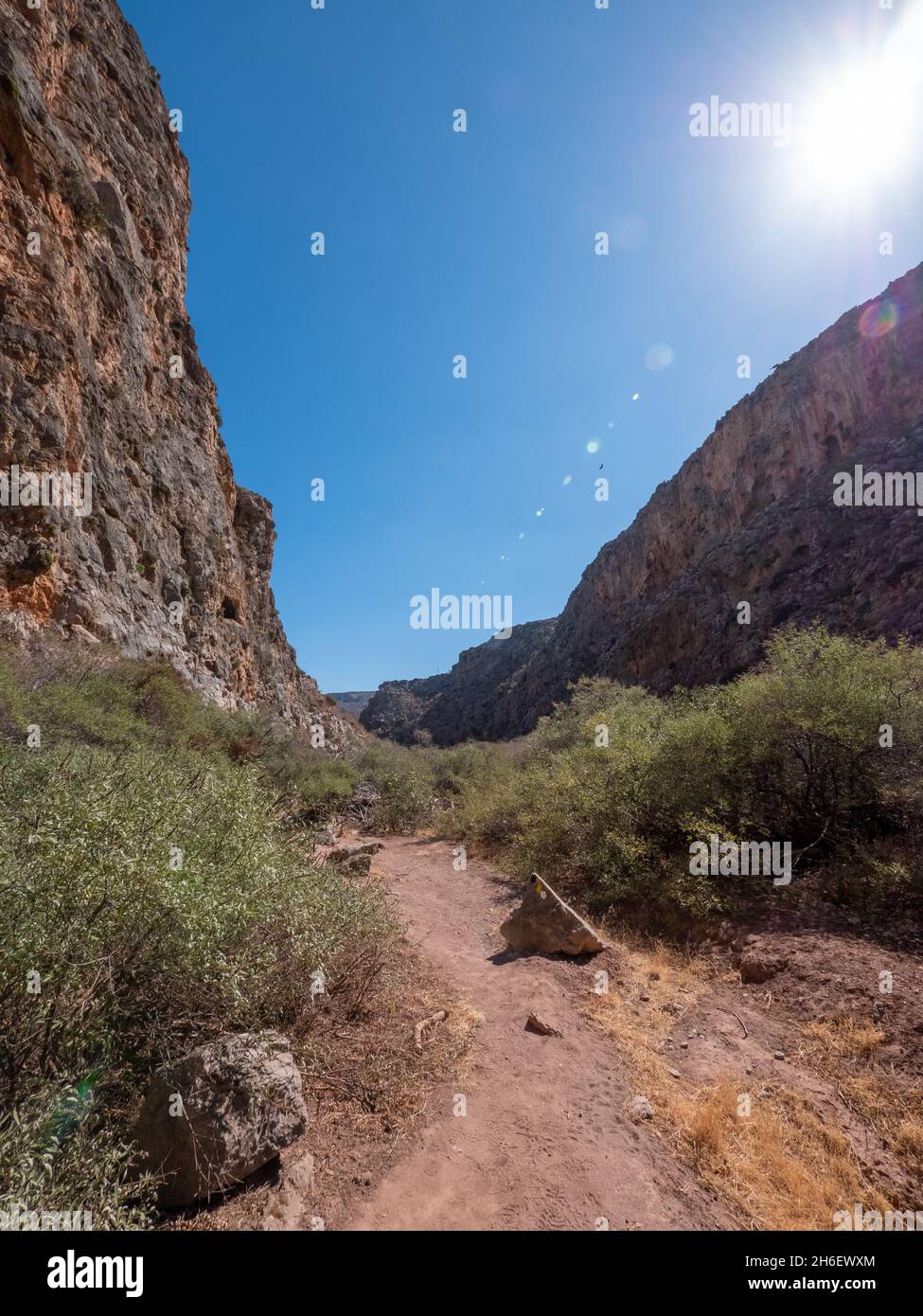 Wadi, Dry Gorge with some plants and trees Stock Photo - Alamy