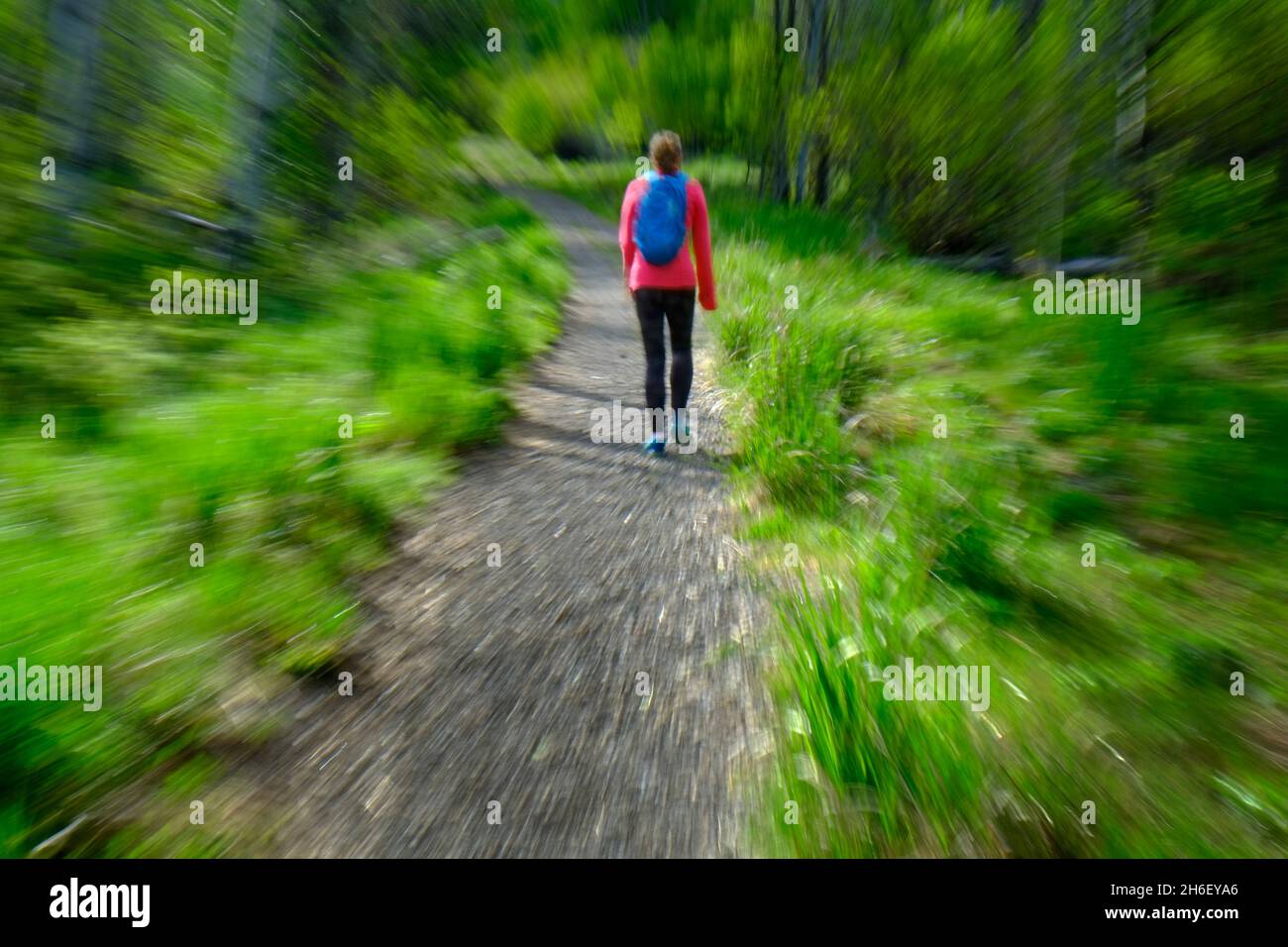 Walk in zoom hi-res stock photography and images - Alamy