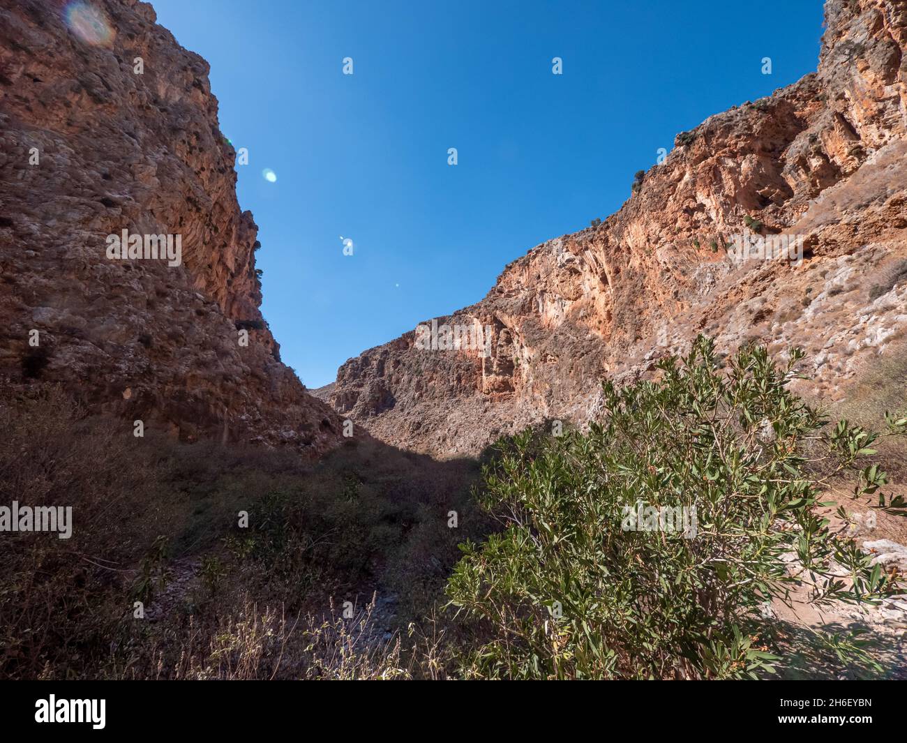 Wadi, Dry Gorge with some plants and trees Stock Photo - Alamy