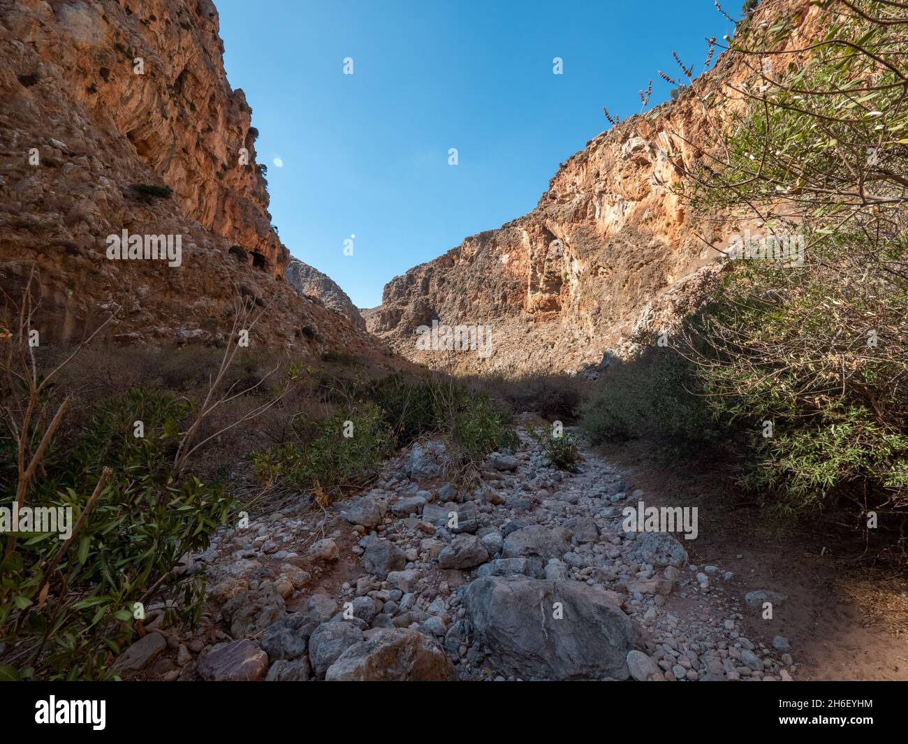 Wadi, Dry Gorge with some plants and trees Stock Photo - Alamy