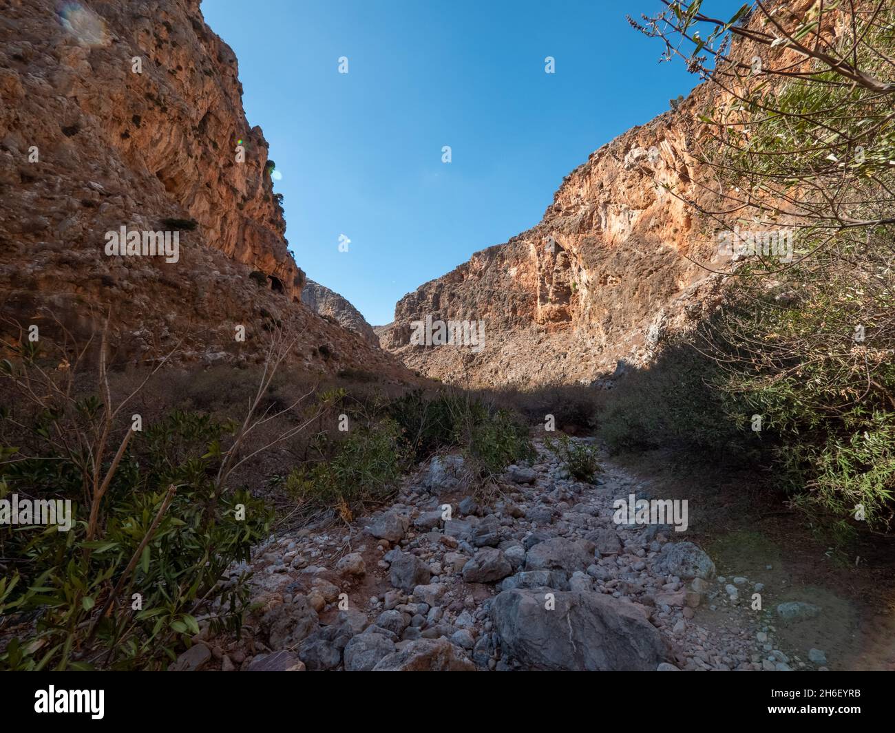 Wadi, Dry Gorge with some plants and trees Stock Photo - Alamy