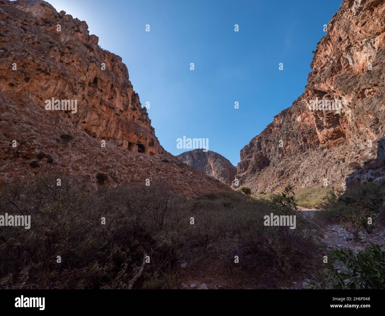 Wadi, Dry Gorge with some plants and trees Stock Photo - Alamy