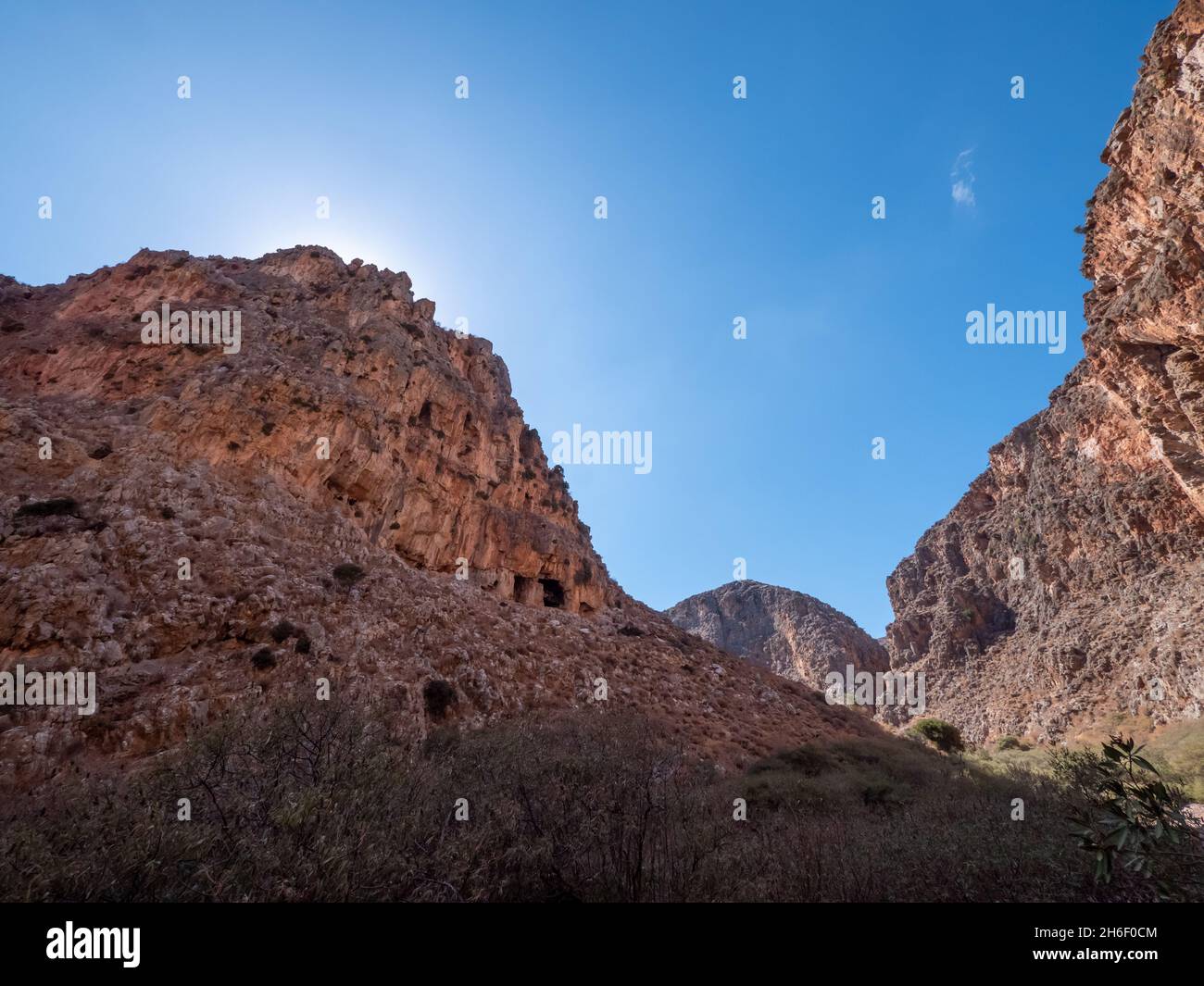 Wadi, Dry Gorge with some plants and trees Stock Photo - Alamy