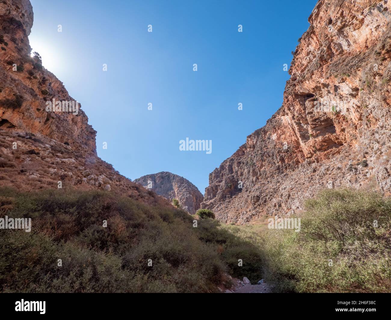 Wadi, Dry Gorge with some plants and trees Stock Photo - Alamy