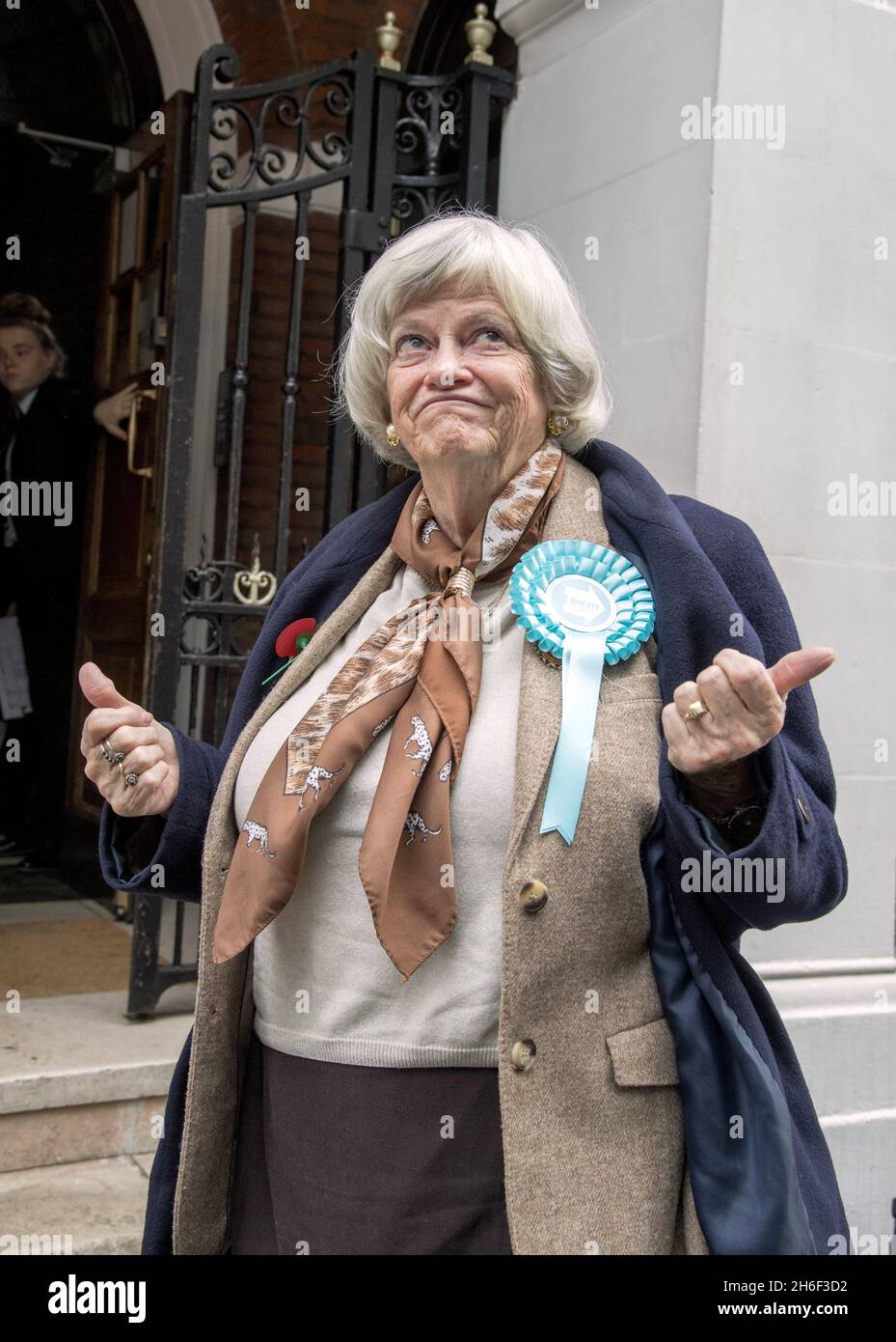 Brexit Party MEP Ann Widdecombe at the launch of the Brexit Party's ...
