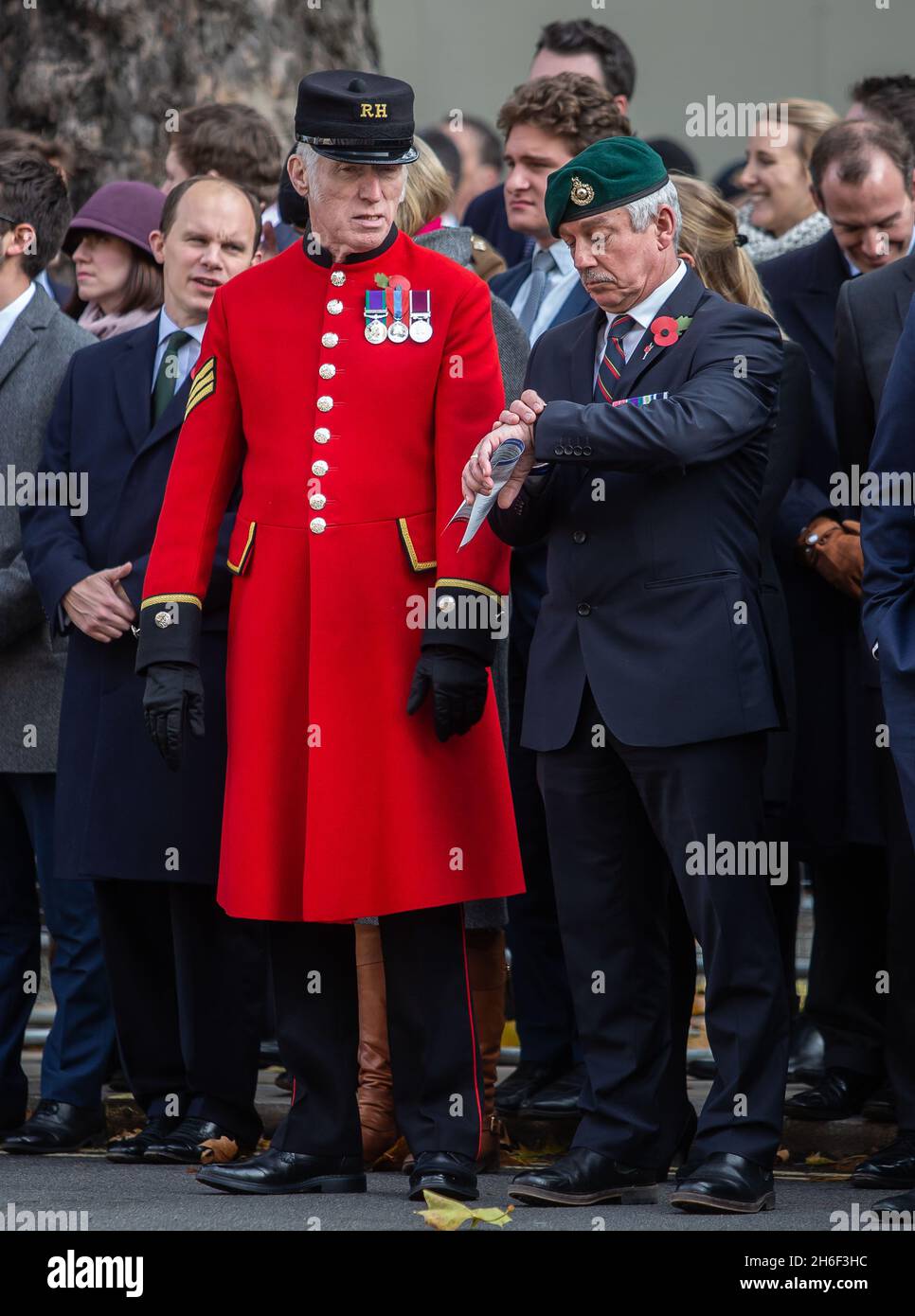 Every year The Western Front Association organises the Armistice Day ...
