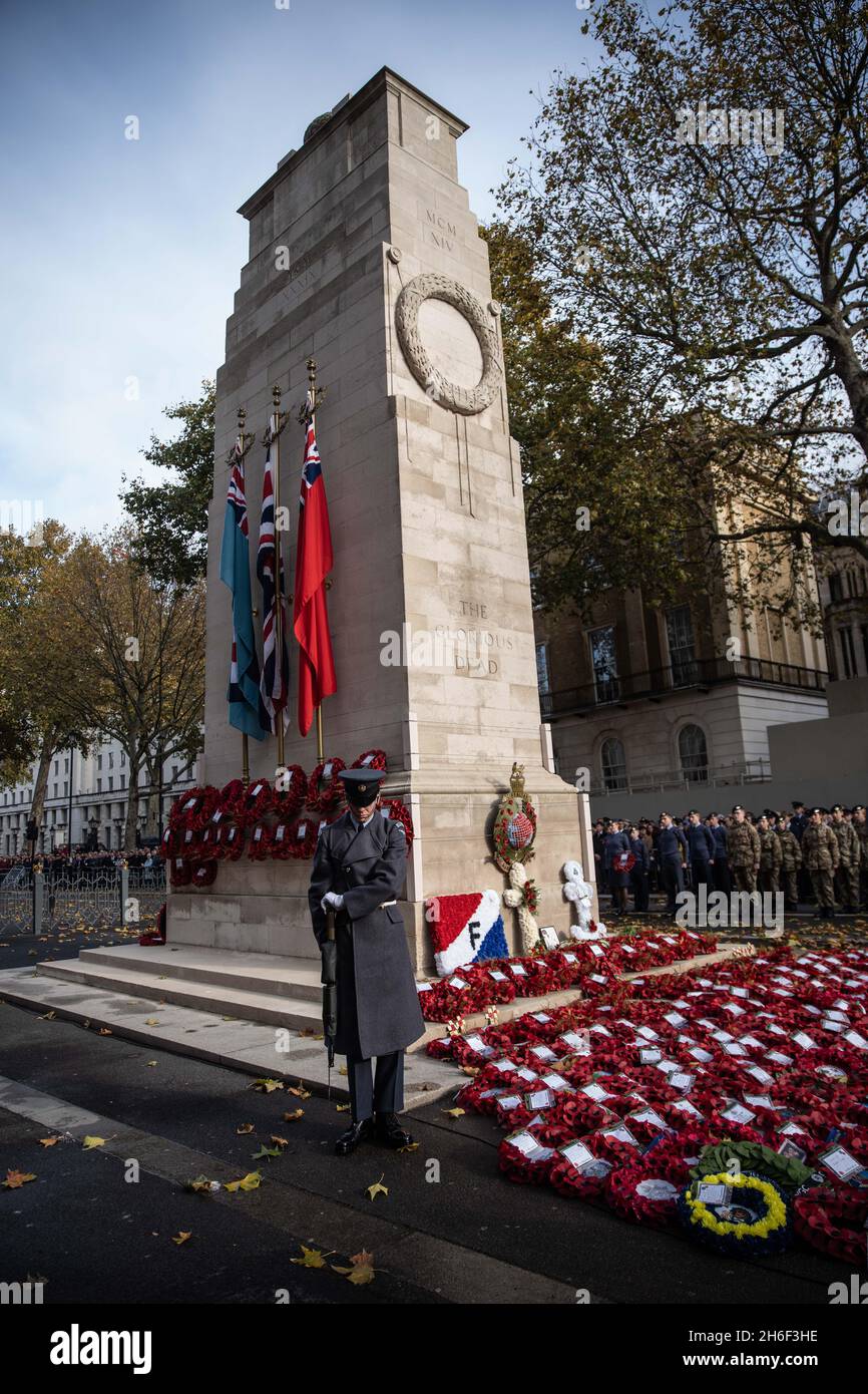 Every year The Western Front Association organises the Armistice Day ...