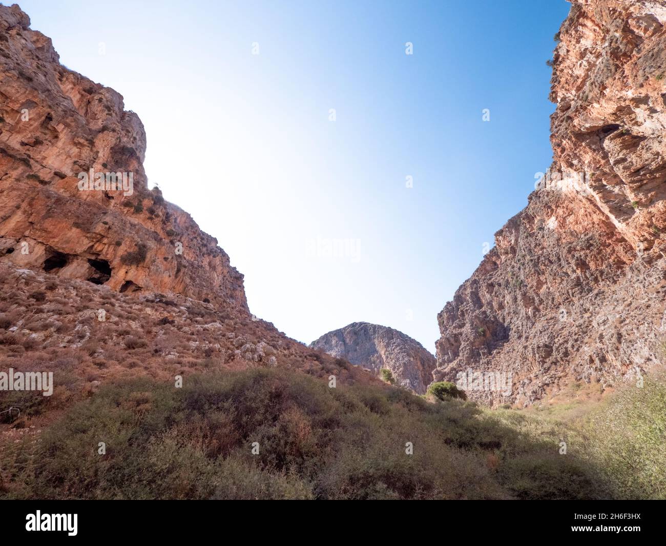 Wadi, Dry Gorge with some plants and trees Stock Photo - Alamy
