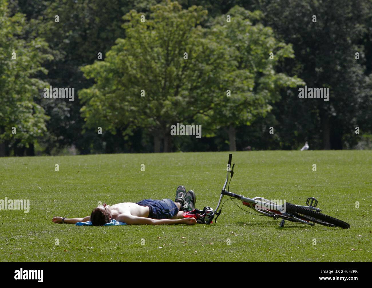 Sunbathers in Regents Park, central London today, July 24, 2007, as the ...