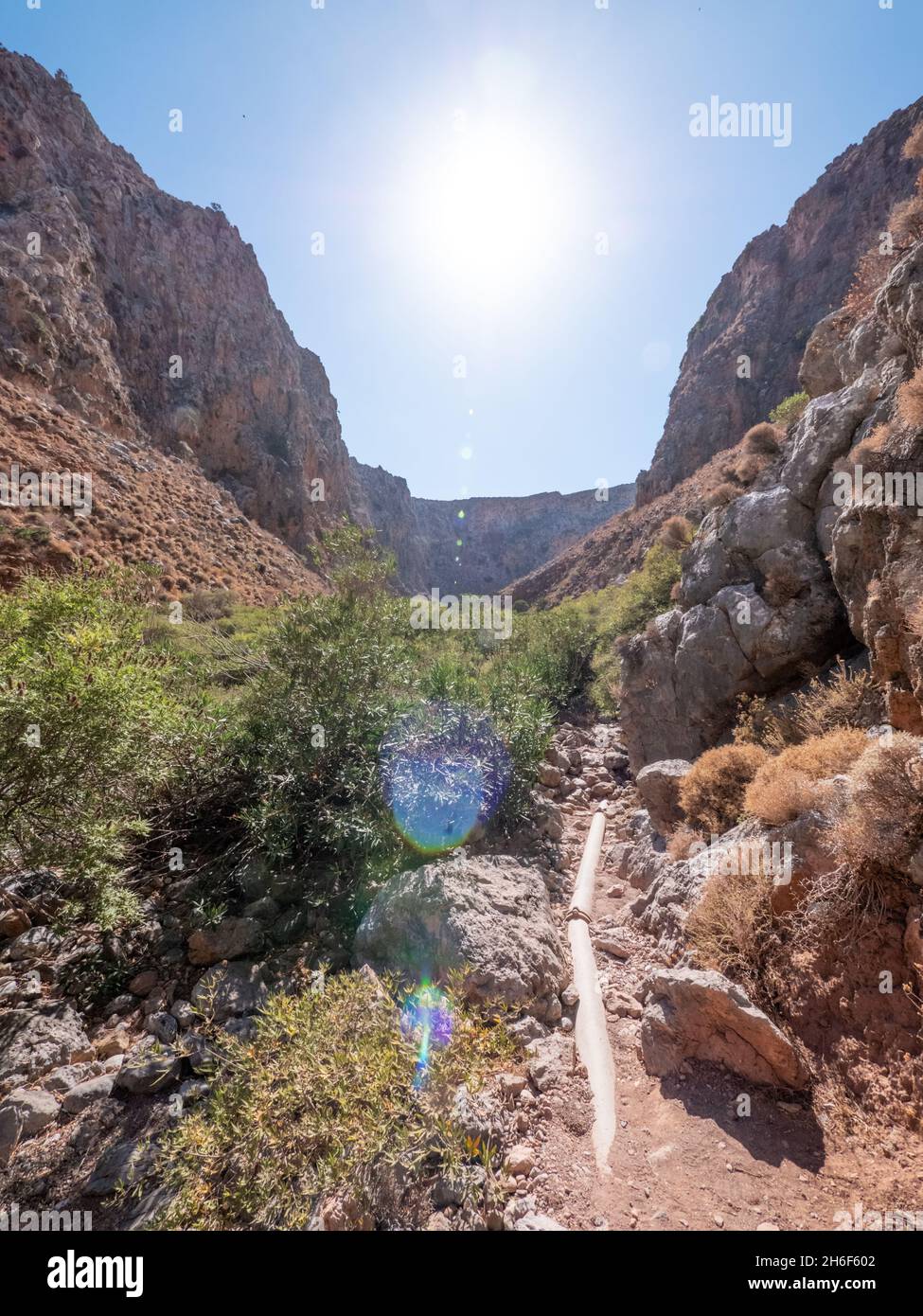 Wadi, Dry Gorge with some plants and trees Stock Photo - Alamy