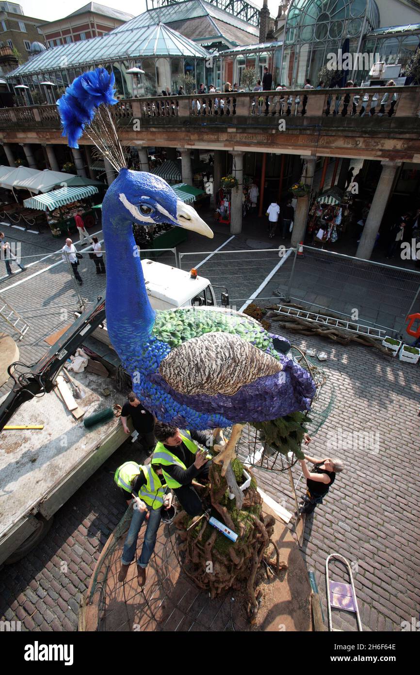 Workers put the finishing touches on Covent Garden LondonÃ•s latest ...