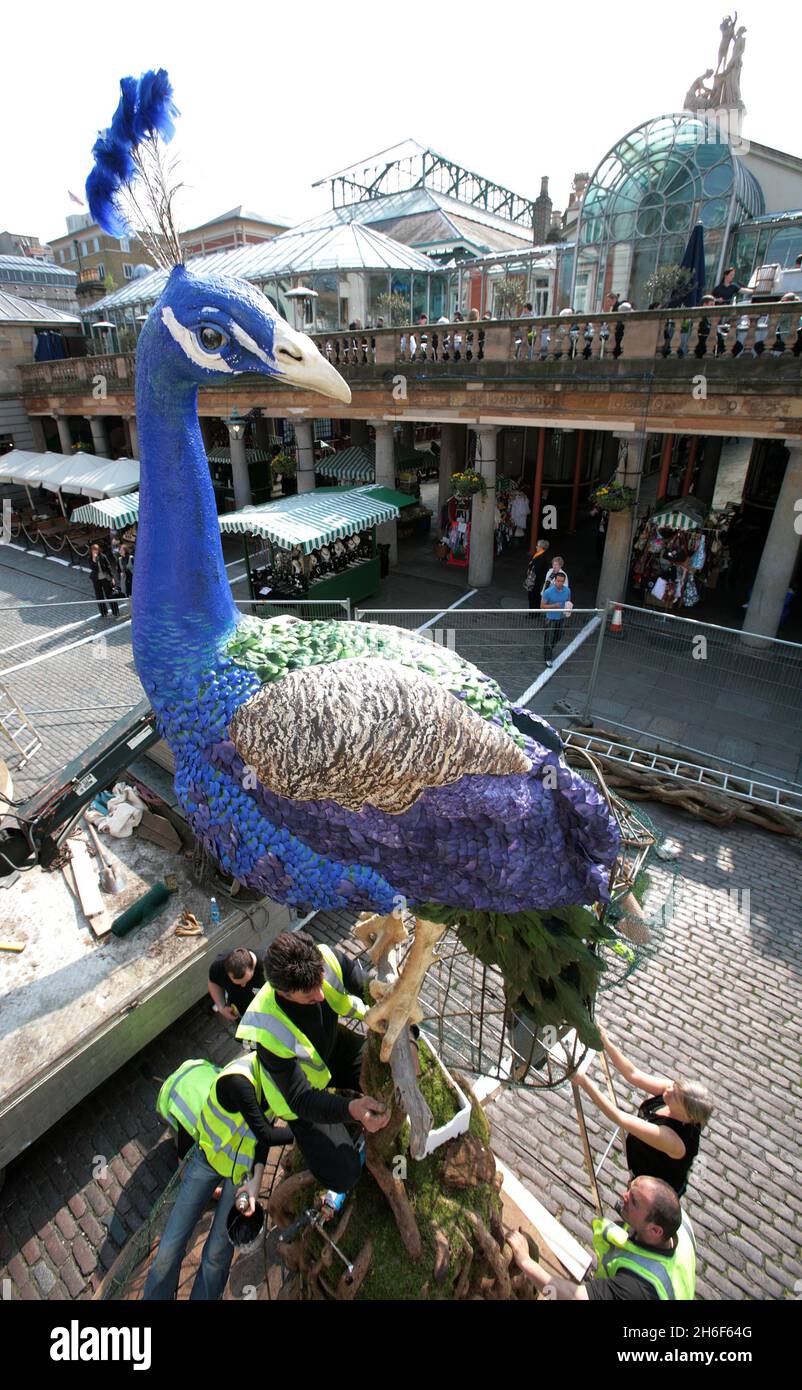 Workers put the finishing touches on Covent Garden LondonÃ•s latest ...