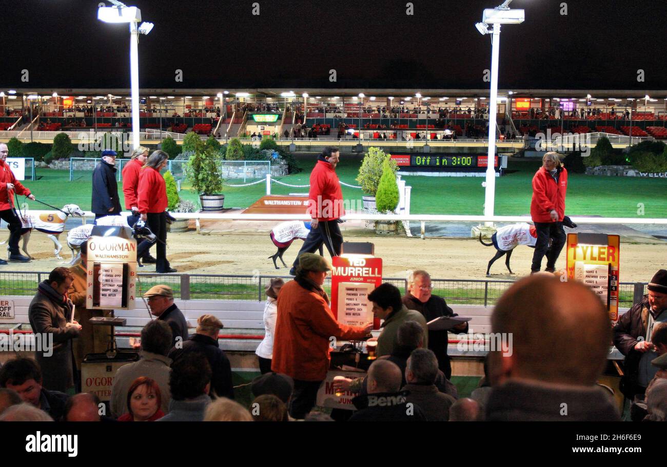 Walthamstow greyhound racing stadium hi-res stock photography and ...