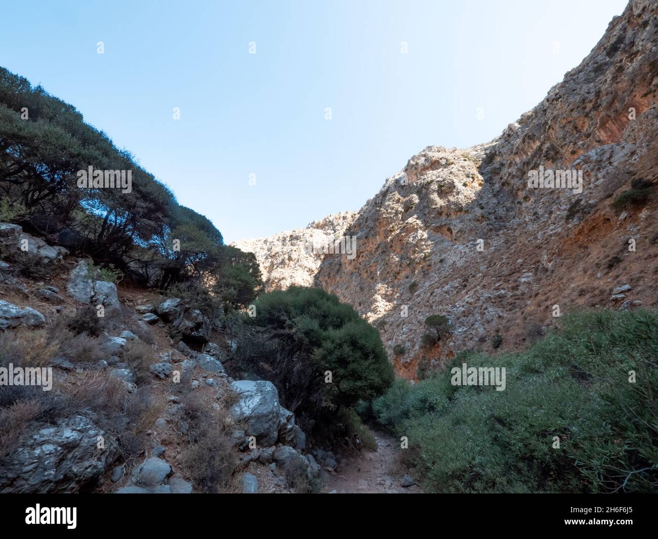 Wadi, Dry Gorge with some plants and trees Stock Photo - Alamy