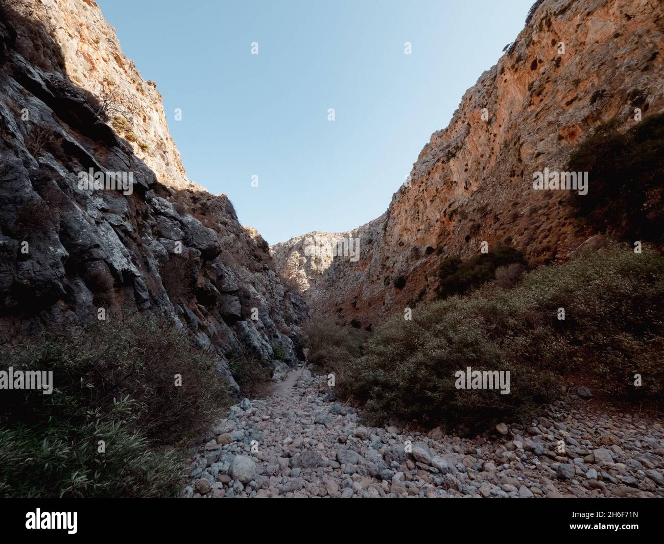 Wadi, Dry Gorge with some plants and trees Stock Photo - Alamy
