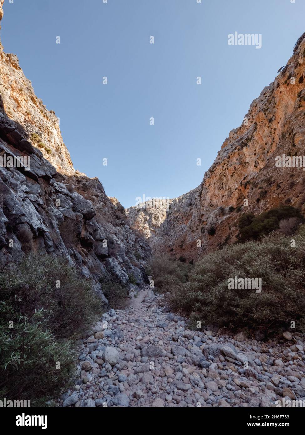 Wadi, Dry Gorge with some plants and trees Stock Photo - Alamy