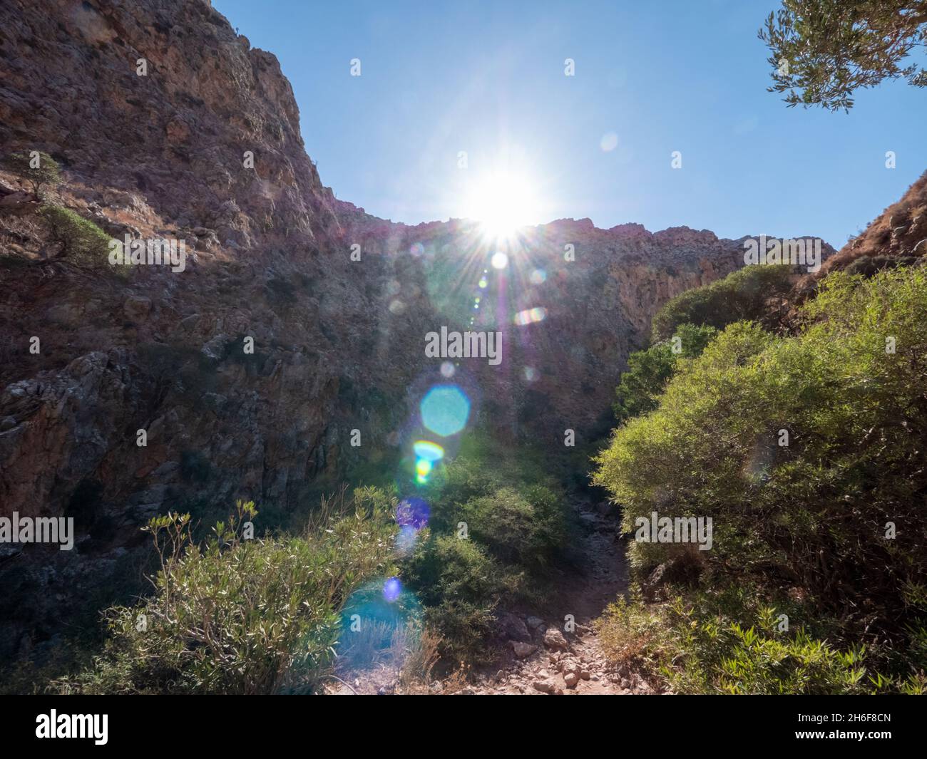 Wadi, Dry Gorge with some plants and trees Stock Photo - Alamy