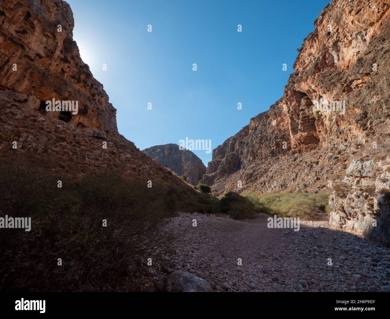 Wadi, Dry Gorge with some plants and trees Stock Photo - Alamy