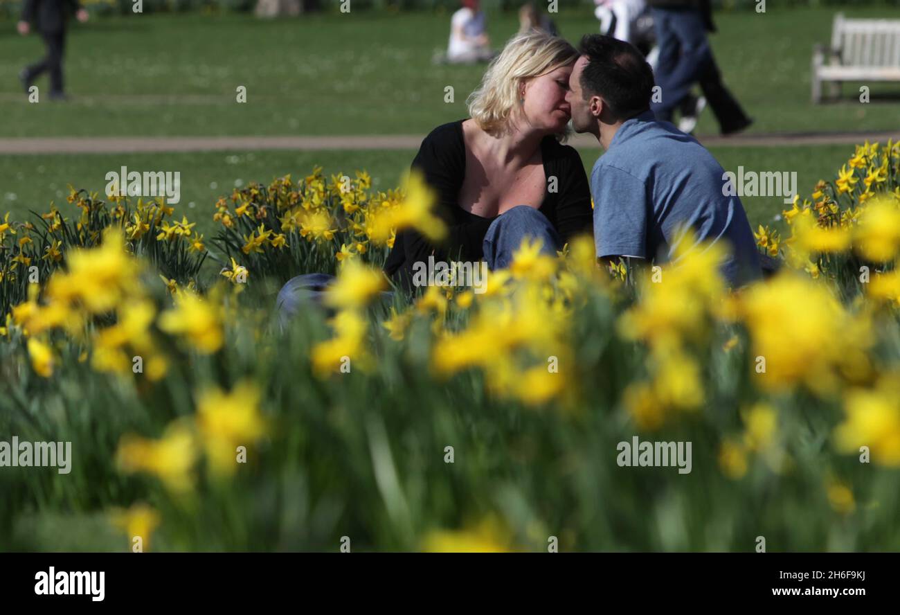 St James Park blossoms in the warm sunshine. The temperature tipped 13C ...