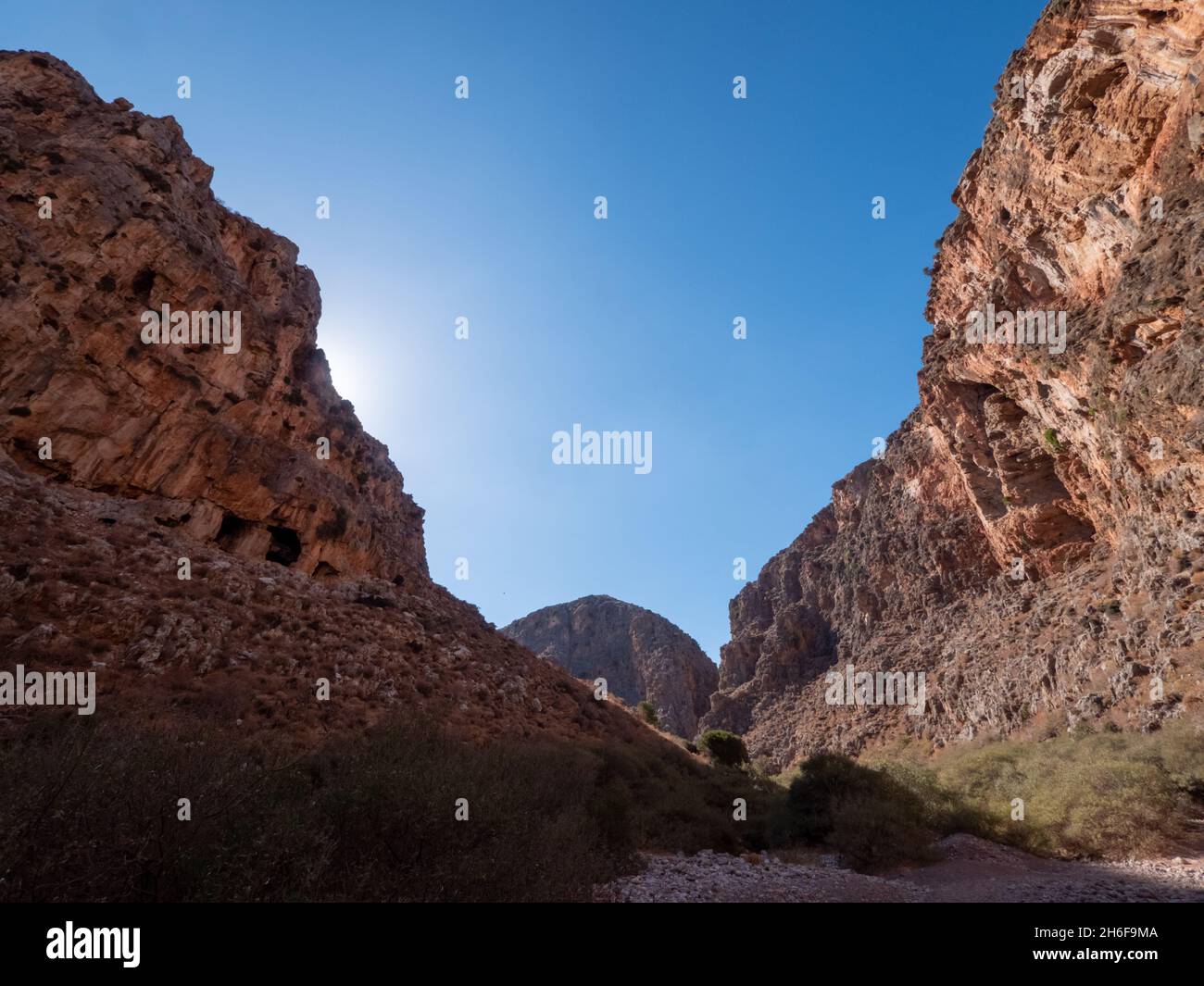 Wadi, Dry Gorge with some plants and trees Stock Photo - Alamy