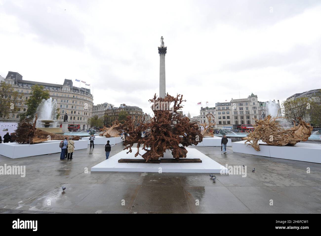 Rainforest tree stumps were positioned around Nelson's Column in ...