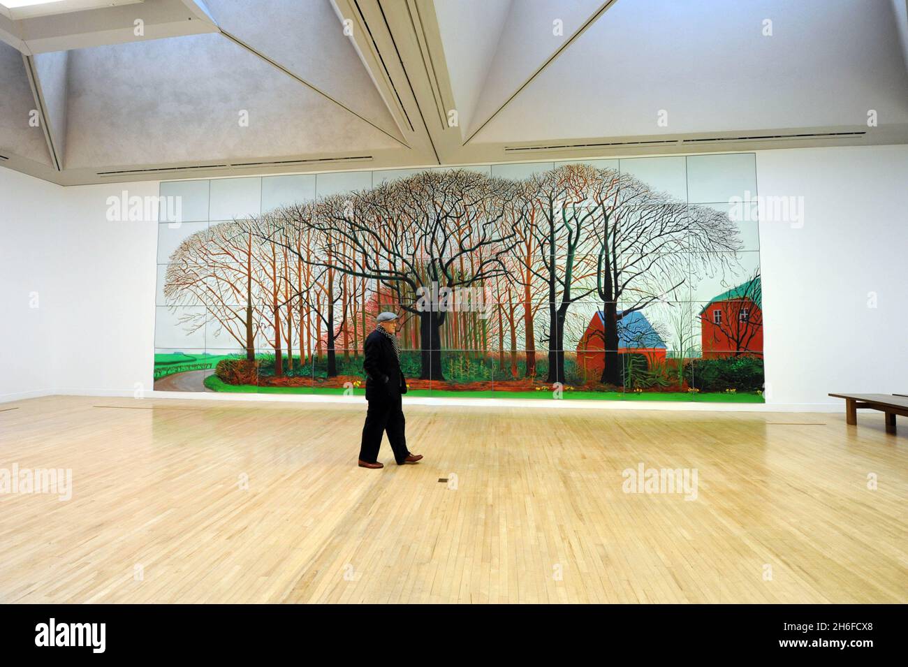 Artist David Hockney attends a photocall as he donates his painting ...