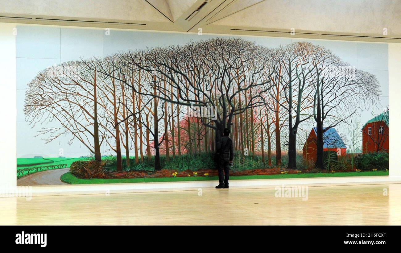 Artist David Hockney attends a photocall as he donates his painting ...