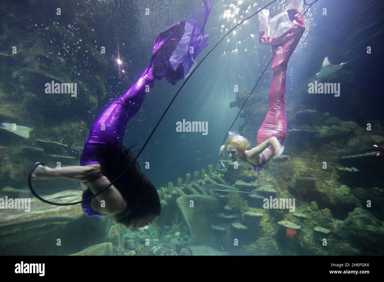 Underwater ballet artists Weeki Wachee Mermaids made their London debut ...