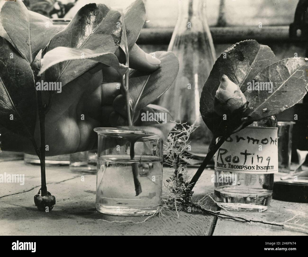 1950s chemical hi-res stock photography and images - Alamy
