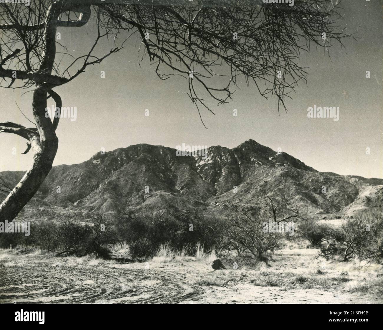 View of Kitt Peak, Tucson, Arizona, USA 1960 Stock Photo - Alamy