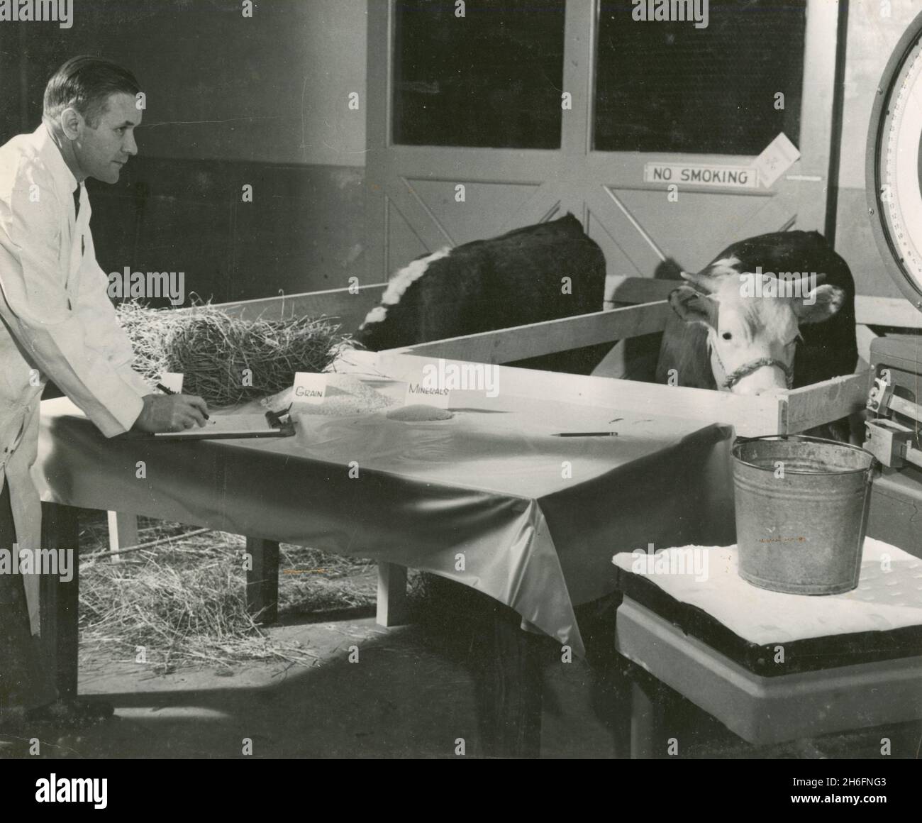 A scientist of agricultural research at Oak Ridge National Laboratory ...