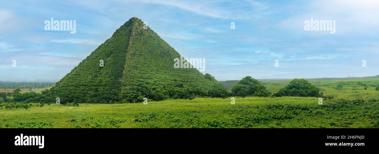Panoramic view of the Pyramids covered with green vegetation Stock ...