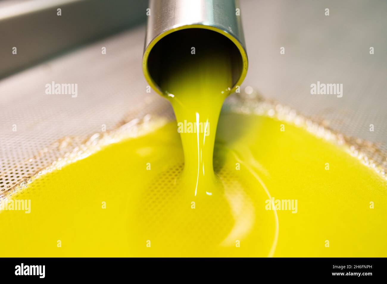 Making of olive oil Stock Photo - Alamy
