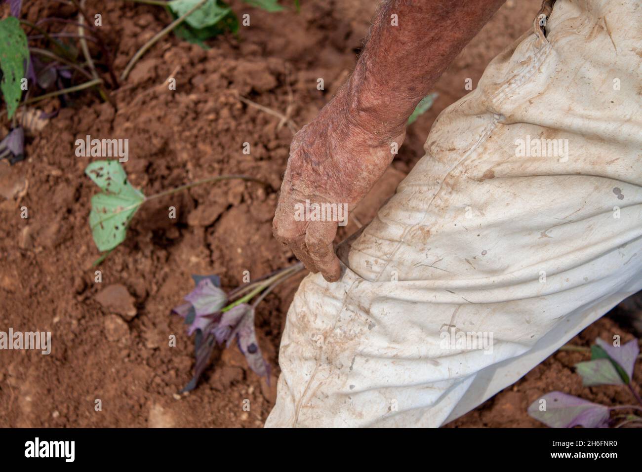 Inspirational working hands quotes hi-res stock photography and images ...