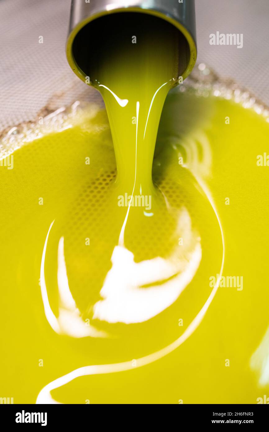 Making of olive oil Stock Photo - Alamy
