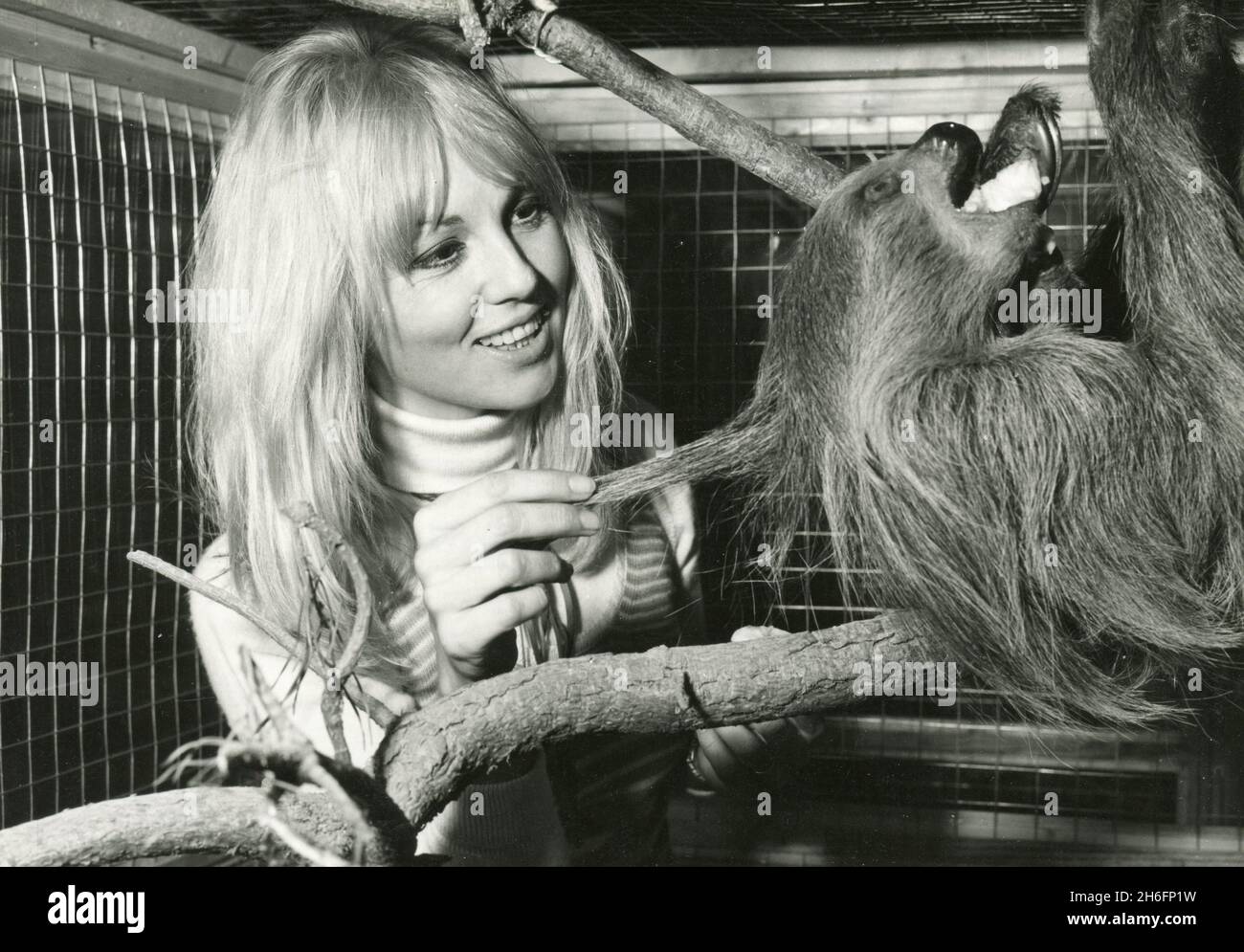 French actress Mylene Demongeot, 1960s Stock Photo - Alamy