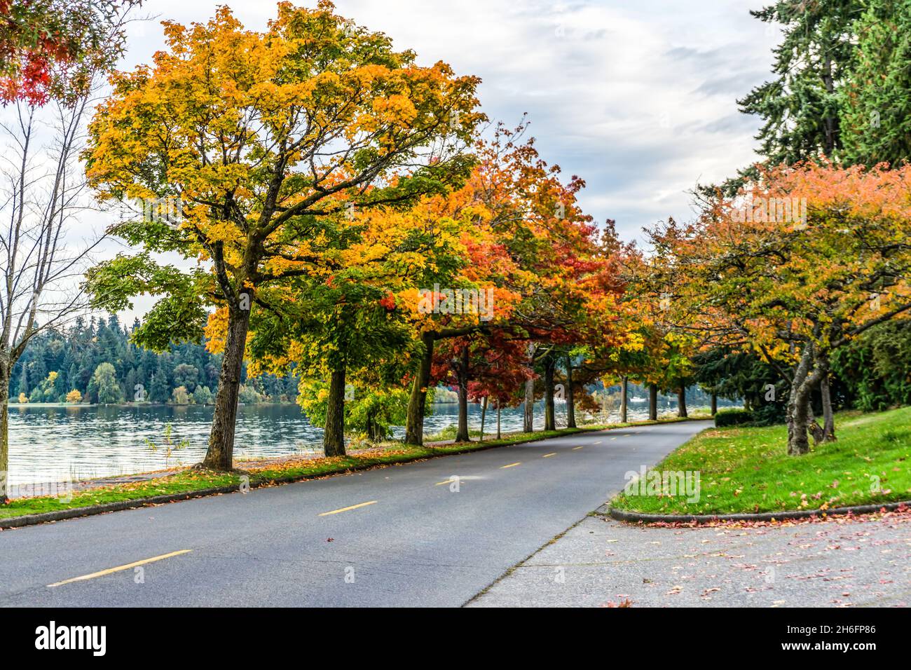 Autumn trees line the shore of Lake Washington in Seattle Stock Photo ...
