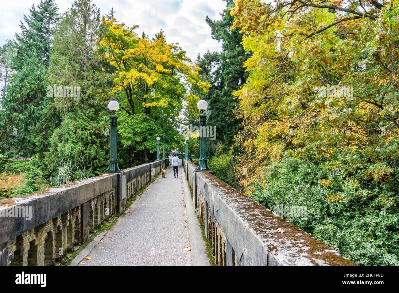 A walking bridge at the Washington Park Arboretum in Seattle ...