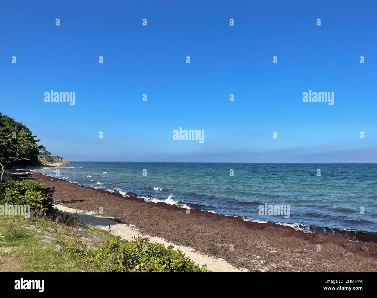 Beautiful view of a natural beach on the German Baltic Sea with lots of ...
