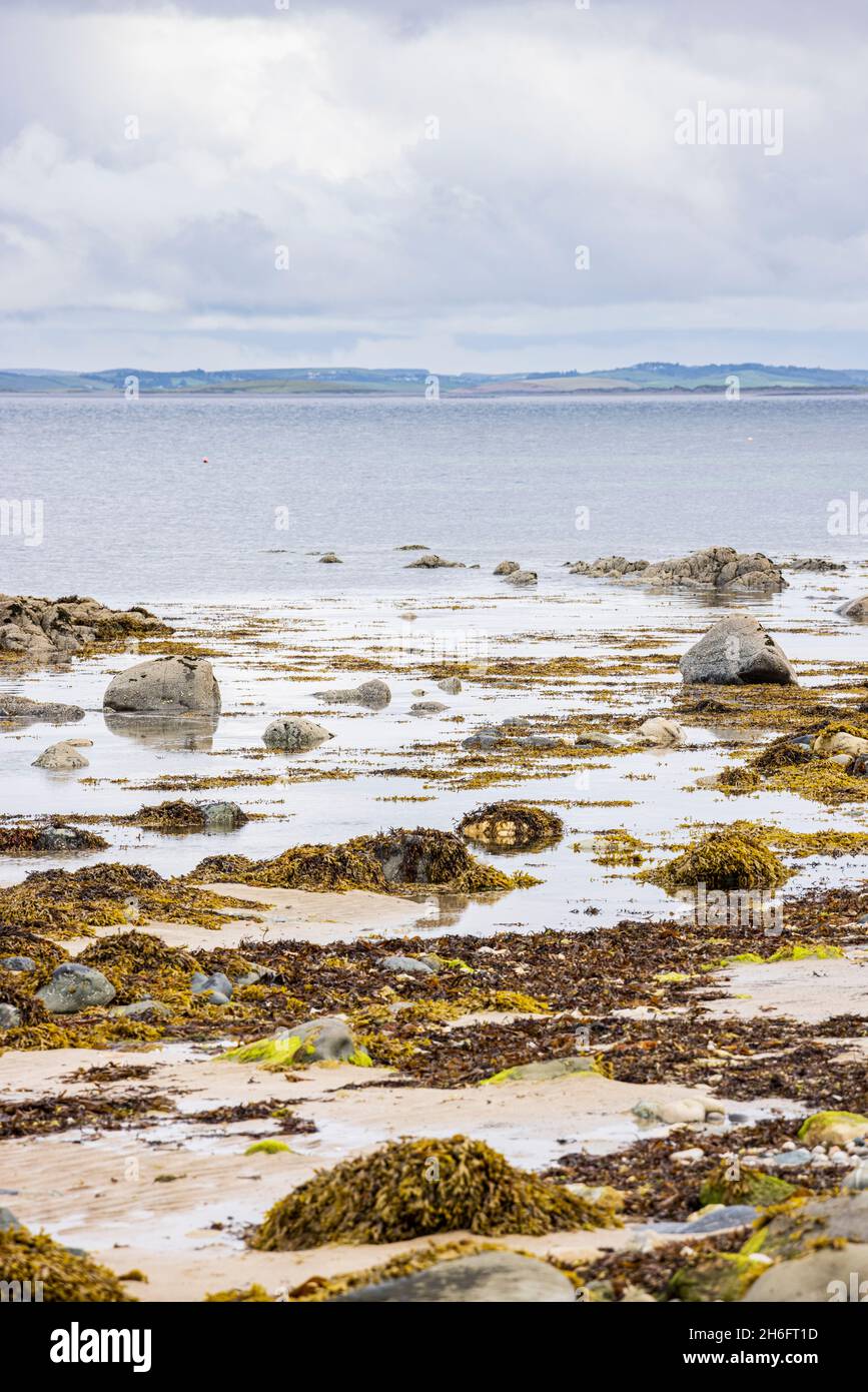 Old head hi-res stock photography and images - Alamy
