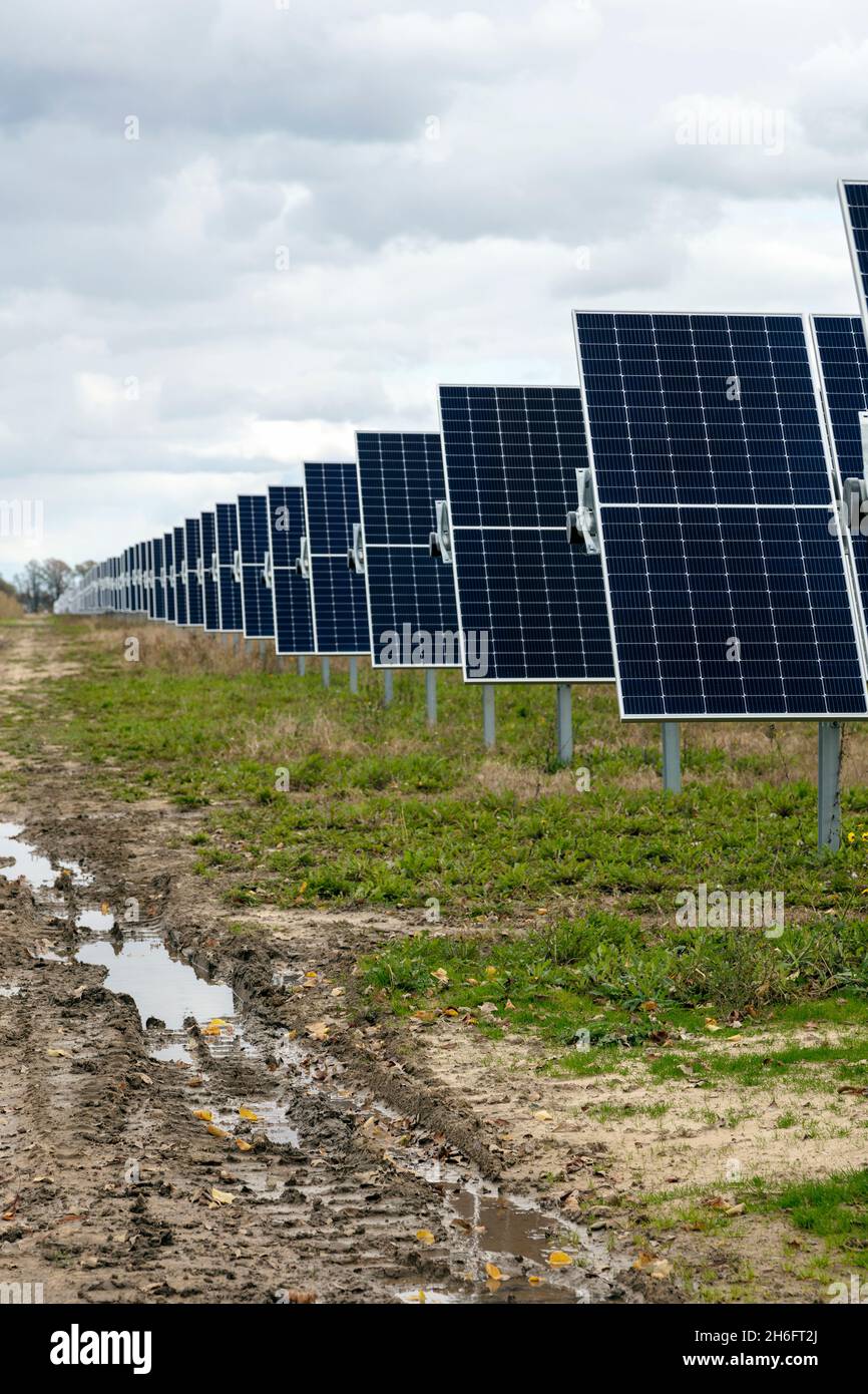 Solar farm, Mid-Michigan, USA, by James D Coppinger/Dembinsky Photo ...