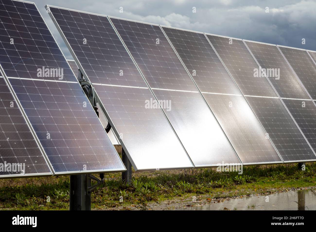 Solar farm, Mid-Michigan, USA, by James D Coppinger/Dembinsky Photo ...