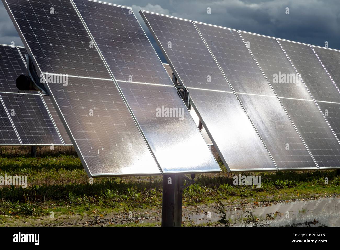 Solar farm, Mid-Michigan, USA, by James D Coppinger/Dembinsky Photo ...