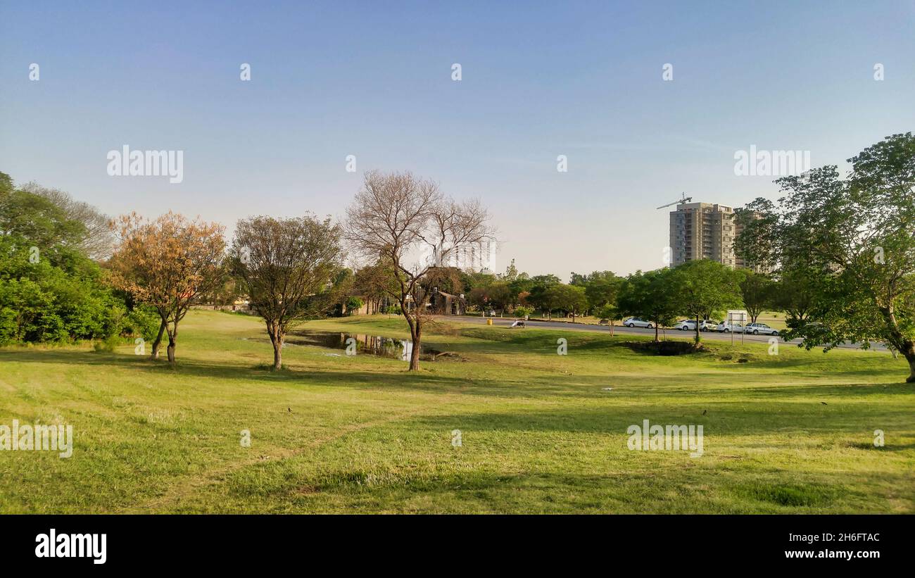 Natural view of a greenfield in a park under a clear bright sky Stock ...