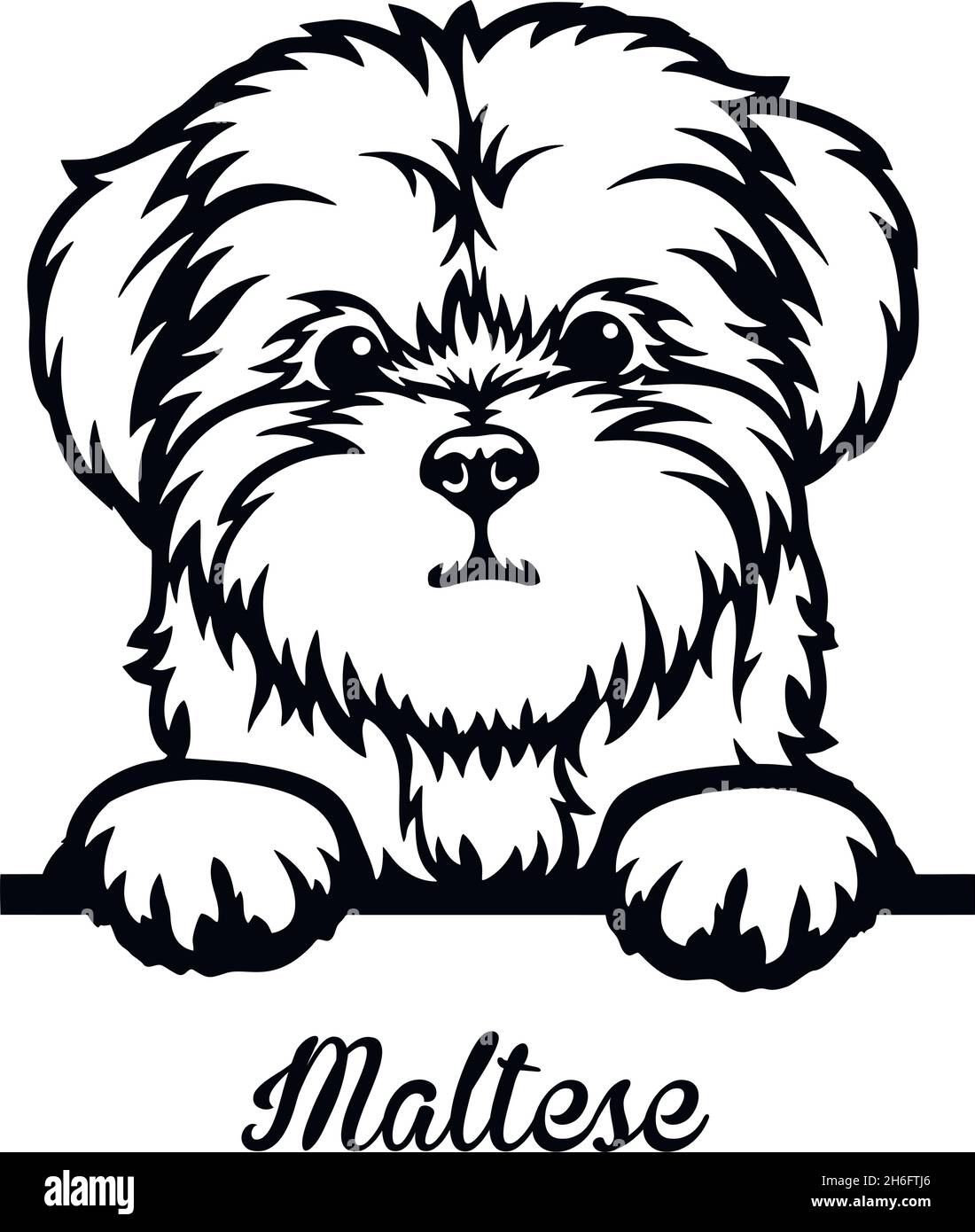 Maltese dog family Stock Vector Images - Alamy