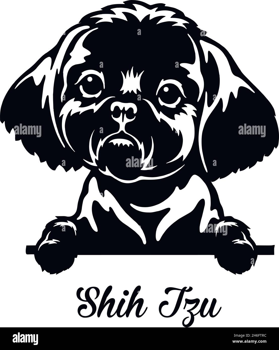 Shih Tzu Peeking Dog - head isolated on white - vector stock Stock ...