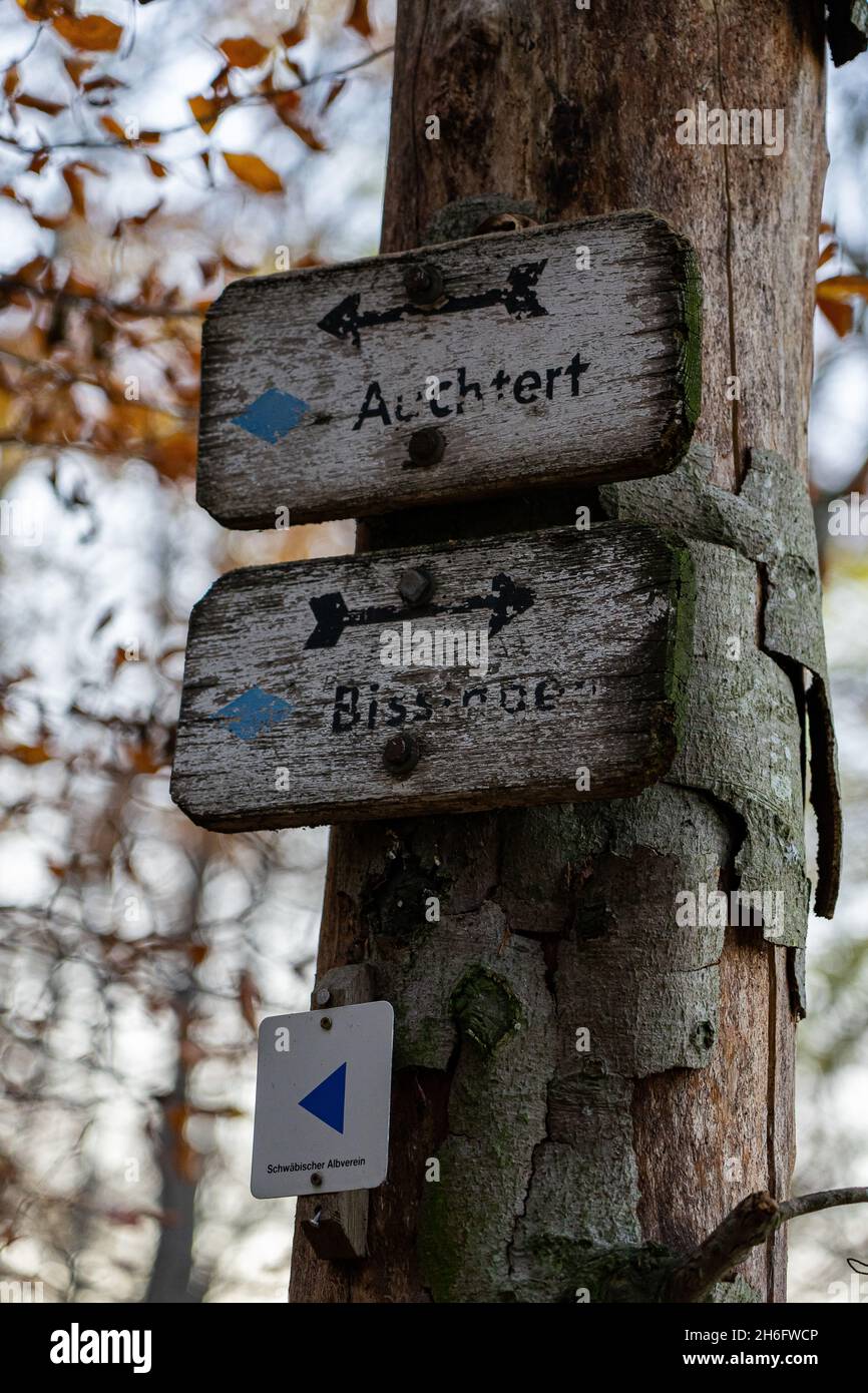 rustic signpost on a dry tree in the forest Stock Photo - Alamy